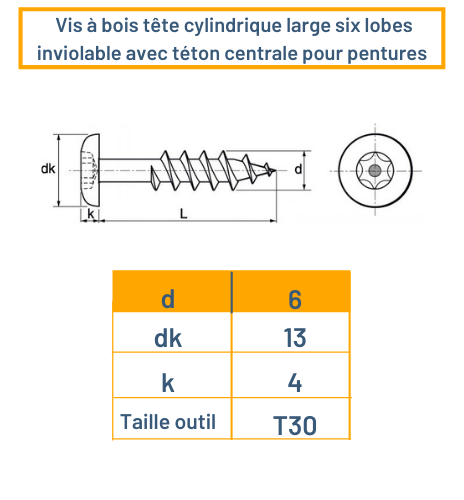 Vis Inviolable Bois Penture à Tête Cylidndrique Large Torx + Téton ...