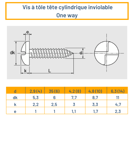Vis Tôle Inviolable à Tête Cylindrique One Way Inox A2 - Vis à Tôle Inviolables - Vis à Tôle